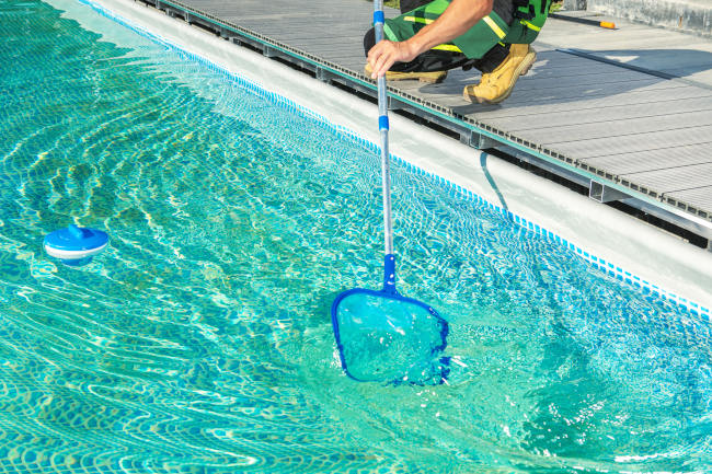Pool Algae Removal, St. Marys, GA | Full Blast Soft Wash